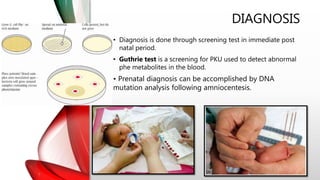 Phenylketonuria(pku) new | PPTX