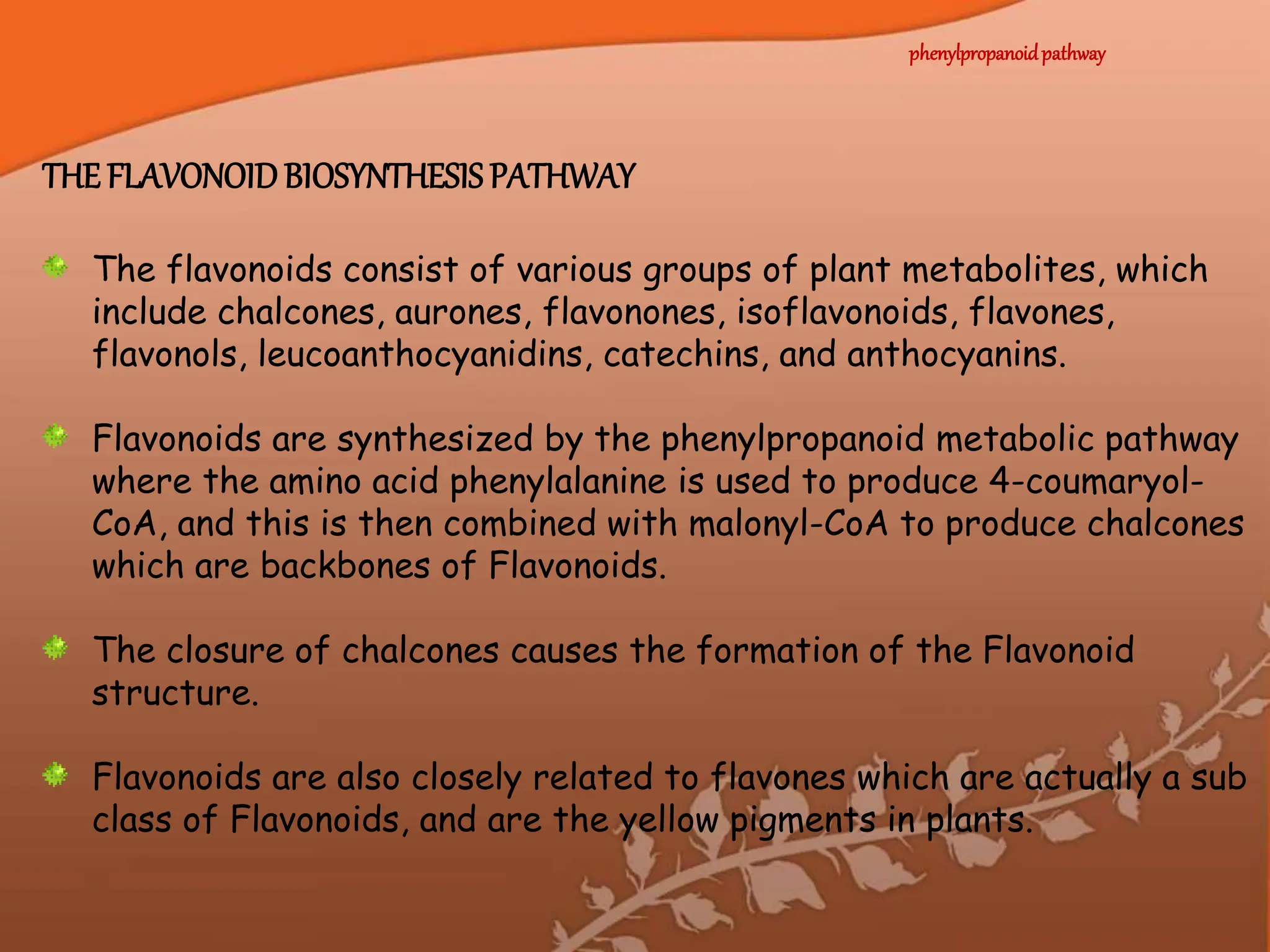phenylpropanoidpathway and their characteristics | PDF