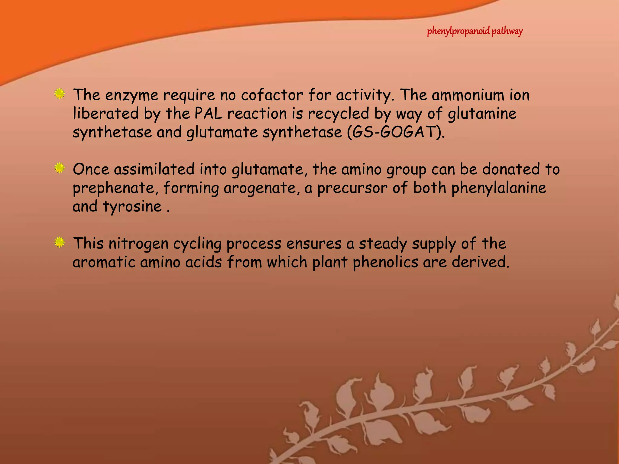 Phenyl propanoid pathway by kk sahu sir | PPTX