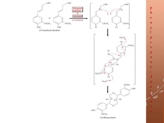 Phenyl propanoid pathway by kk sahu sir | PPTX