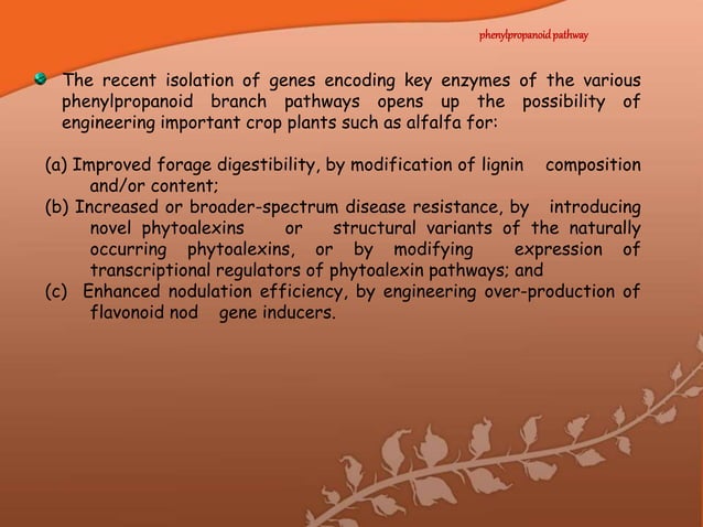 Phenyl propanoid pathway by kk sahu sir | PPTX | Endocrine and ...