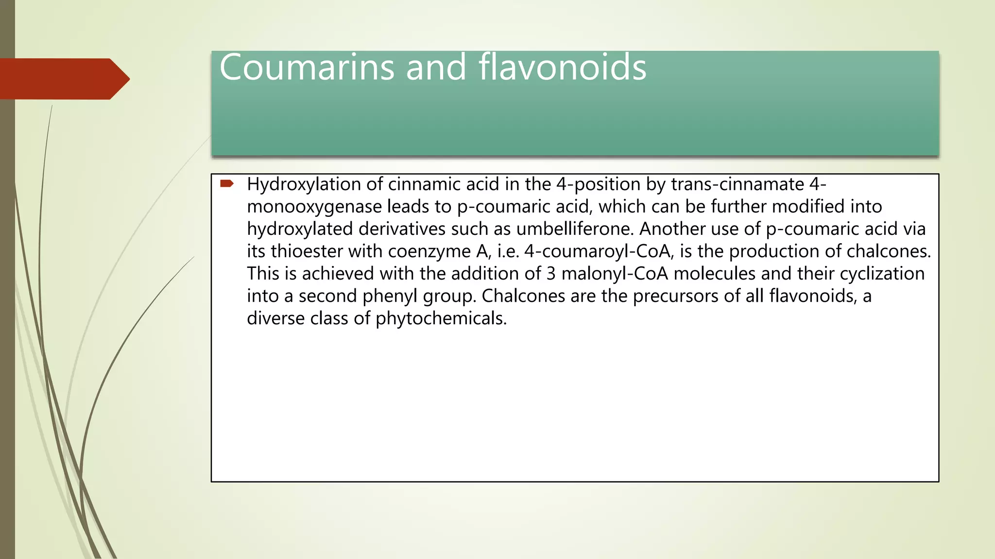 Phenylpropanoids ( Flavonoids, coumarin, lignan ) | PPTX