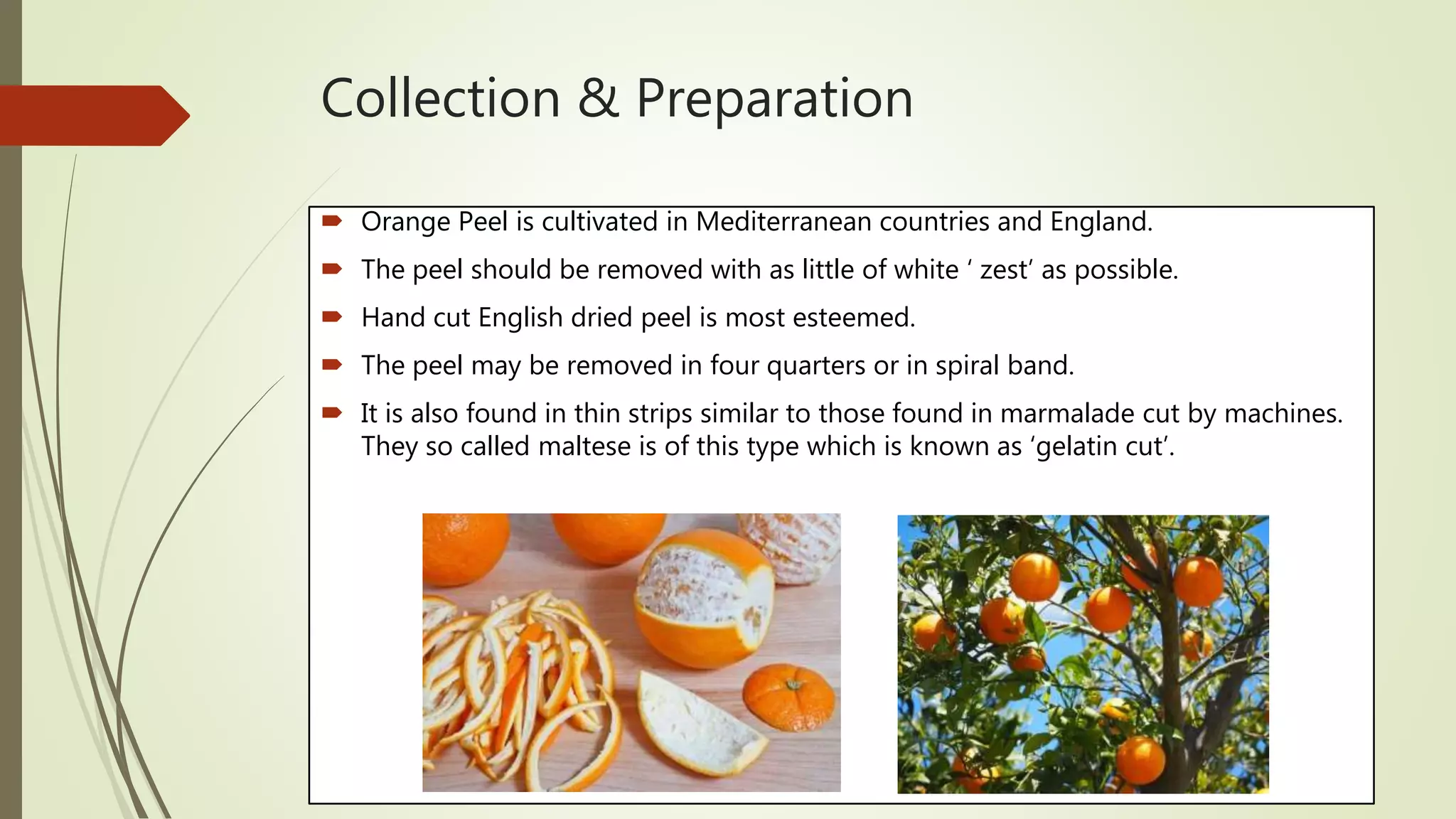 Phenylpropanoids ( Flavonoids, coumarin, lignan ) | PPTX