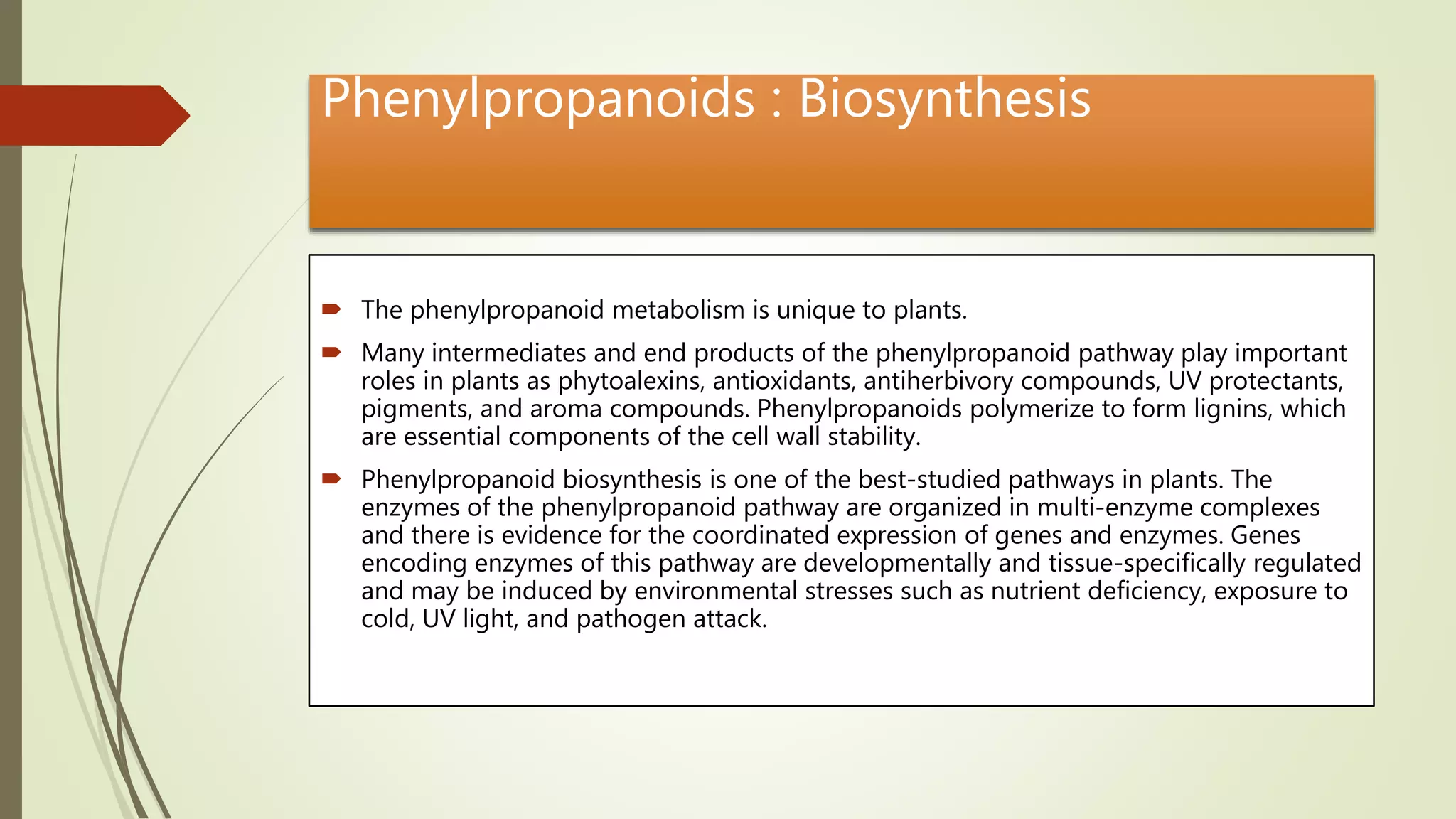 Phenylpropanoids ( Flavonoids, coumarin, lignan ) | PPTX
