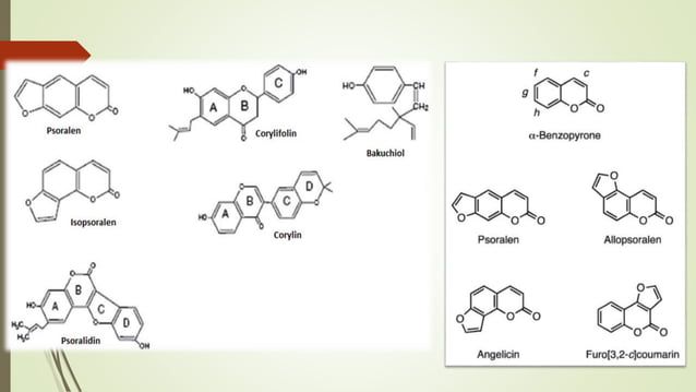 Phenylpropanoids ( Flavonoids, coumarin, lignan ) | PPTX