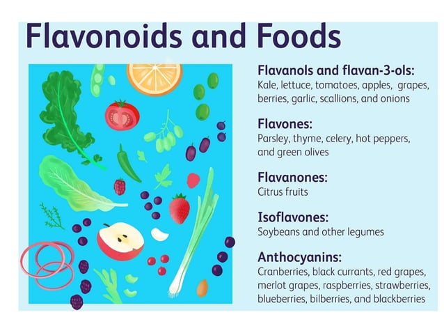 PHENYLPROPANOIDS AND FLAVONOIDS &TANNINS | PPTX | Chemistry | Science