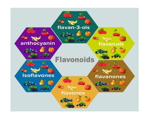 PHENYLPROPANOIDS AND FLAVONOIDS &TANNINS | PPTX