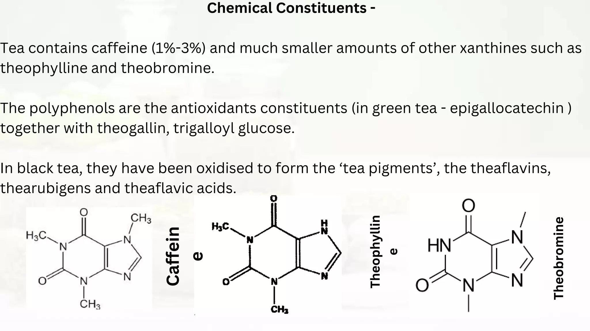 Phenylpropanoids & Flavonoid.pptx