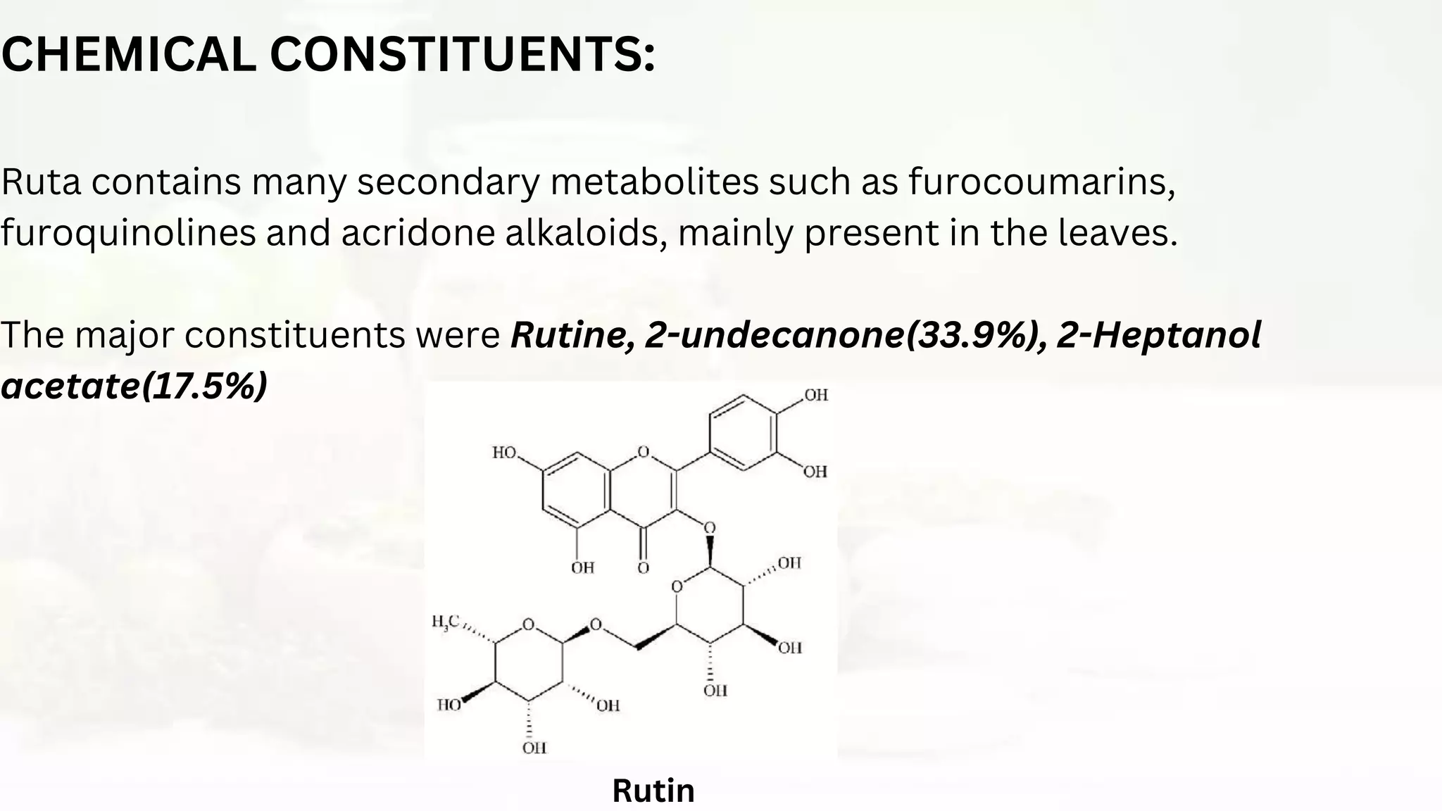 Phenylpropanoids & Flavonoid.pptx