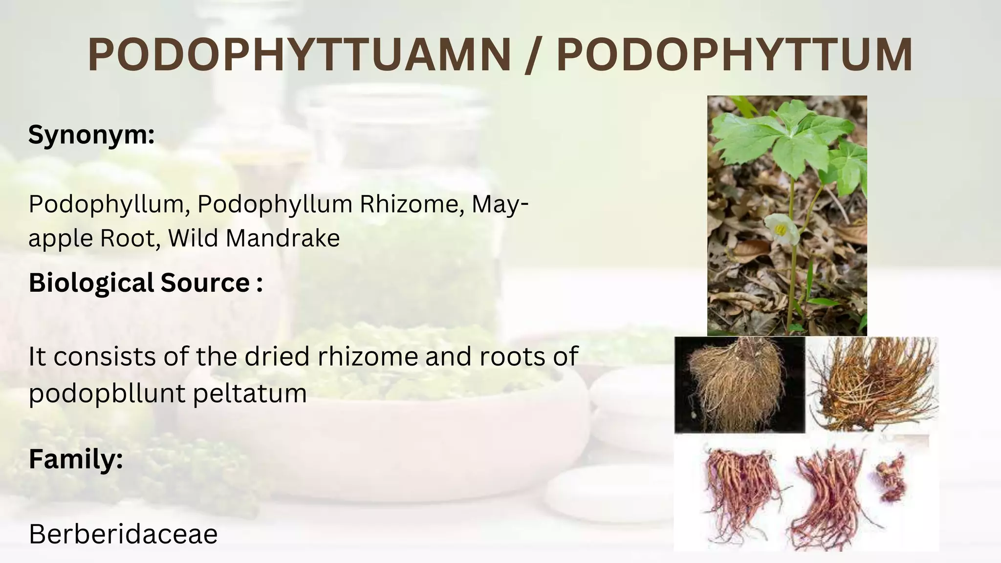 Phenylpropanoids & Flavonoid.pptx