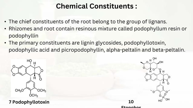 Phenylpropanoids & Flavonoid.pptx | Gardening | Home & Garden