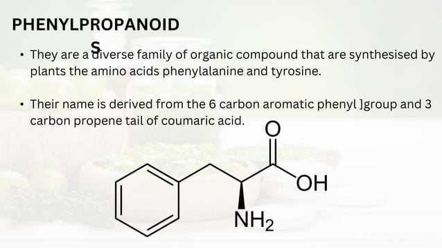 Phenylpropanoids & Flavonoid.pptx | Gardening | Home & Garden
