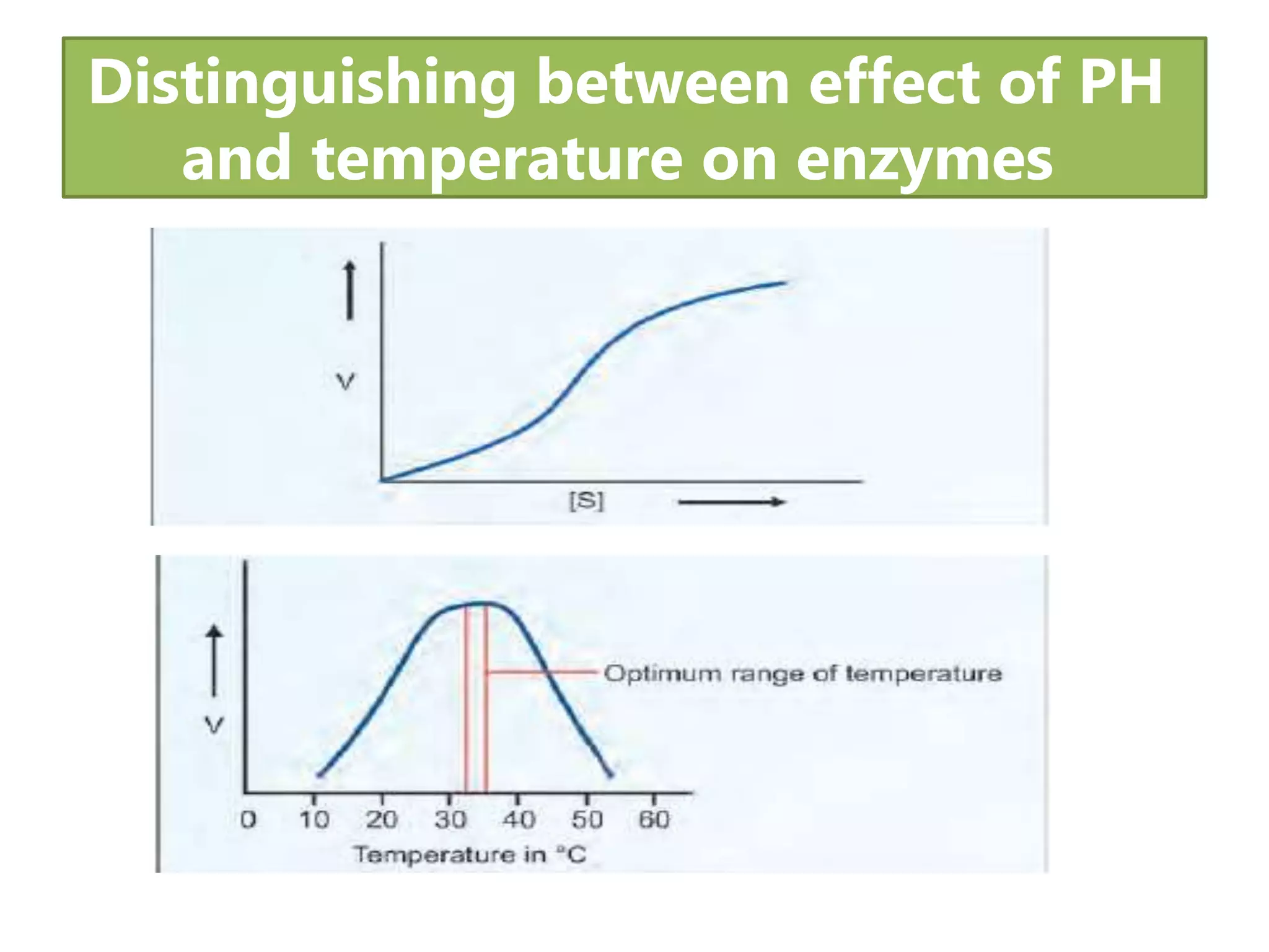 ph enzymes2 .pptx