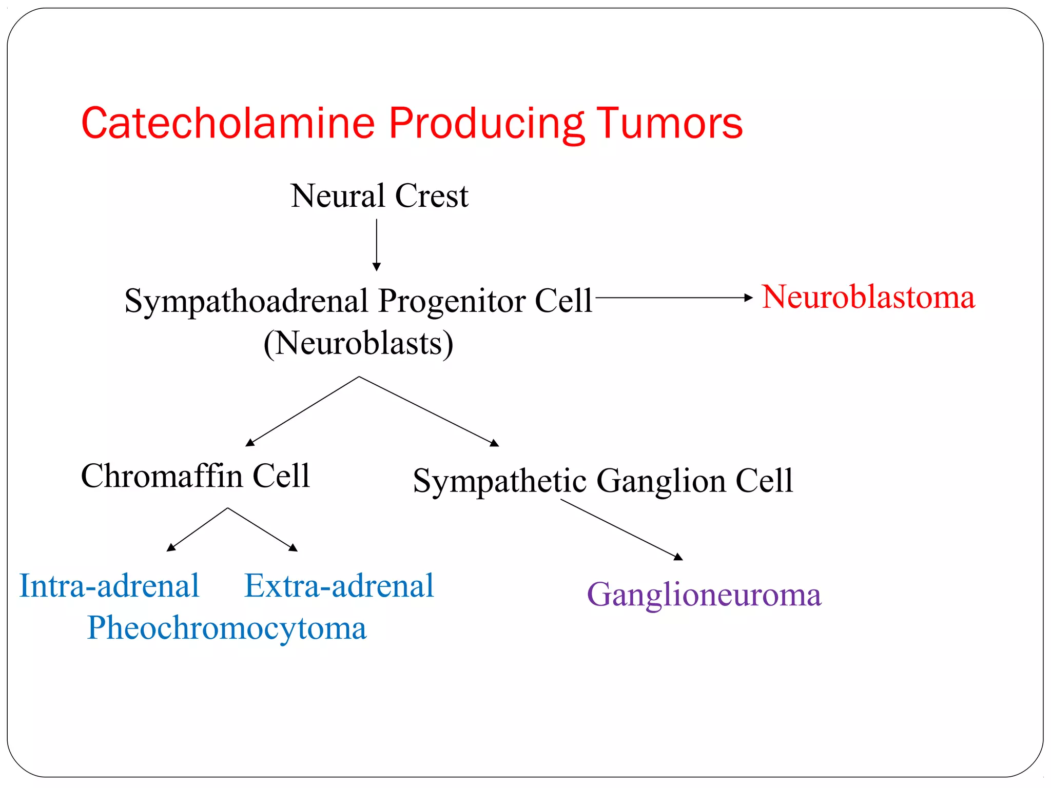 Pheochromocytoma and its anaesthetic management | PPT