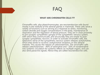 Pheochromocytoma | PPTX