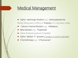 Pheochromocytoma | PPTX
