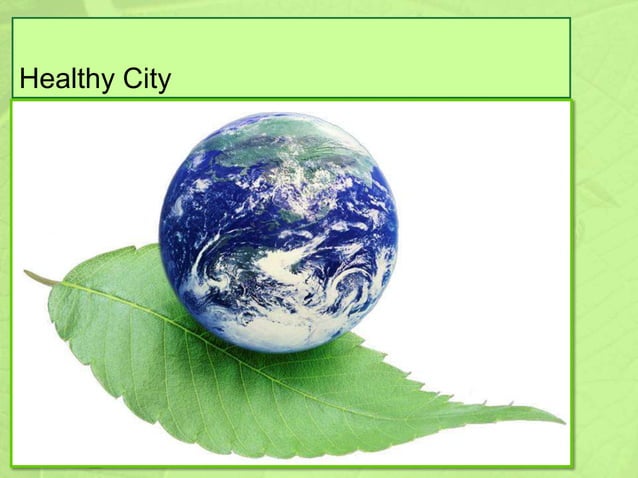 Phe Presentation Ppt