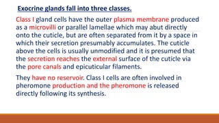 Definition of phermones and exocrine glands.pptx
