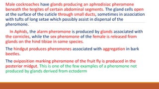 Definition of phermones and exocrine glands.pptx