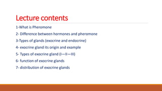 Definition of phermones and exocrine glands.pptx