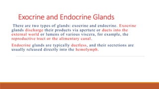 Definition of phermones and exocrine glands.pptx