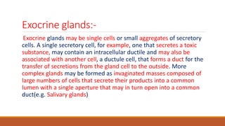 Definition of phermones and exocrine glands.pptx