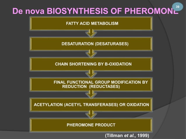 Pheromoe production system by p.manikandan | PPTX
