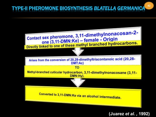 Pheromoe production system by p.manikandan | PPTX