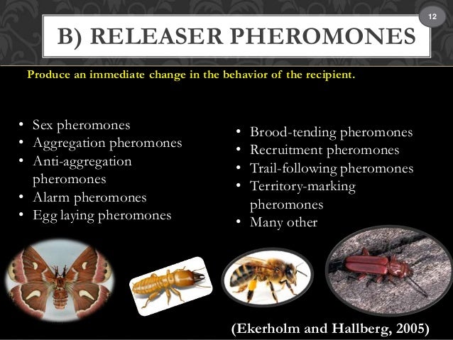 Pheromoe production system by p.manikandan