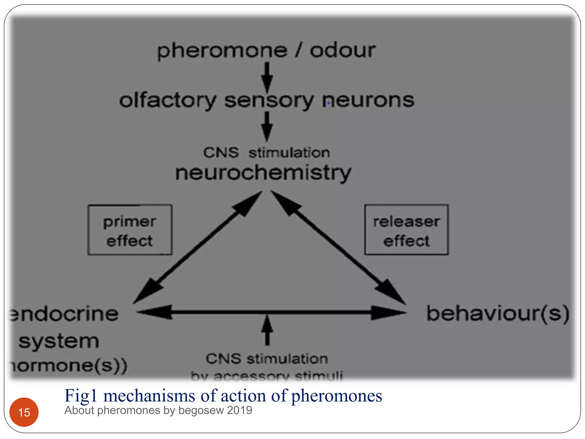 Pheromone | PPTX