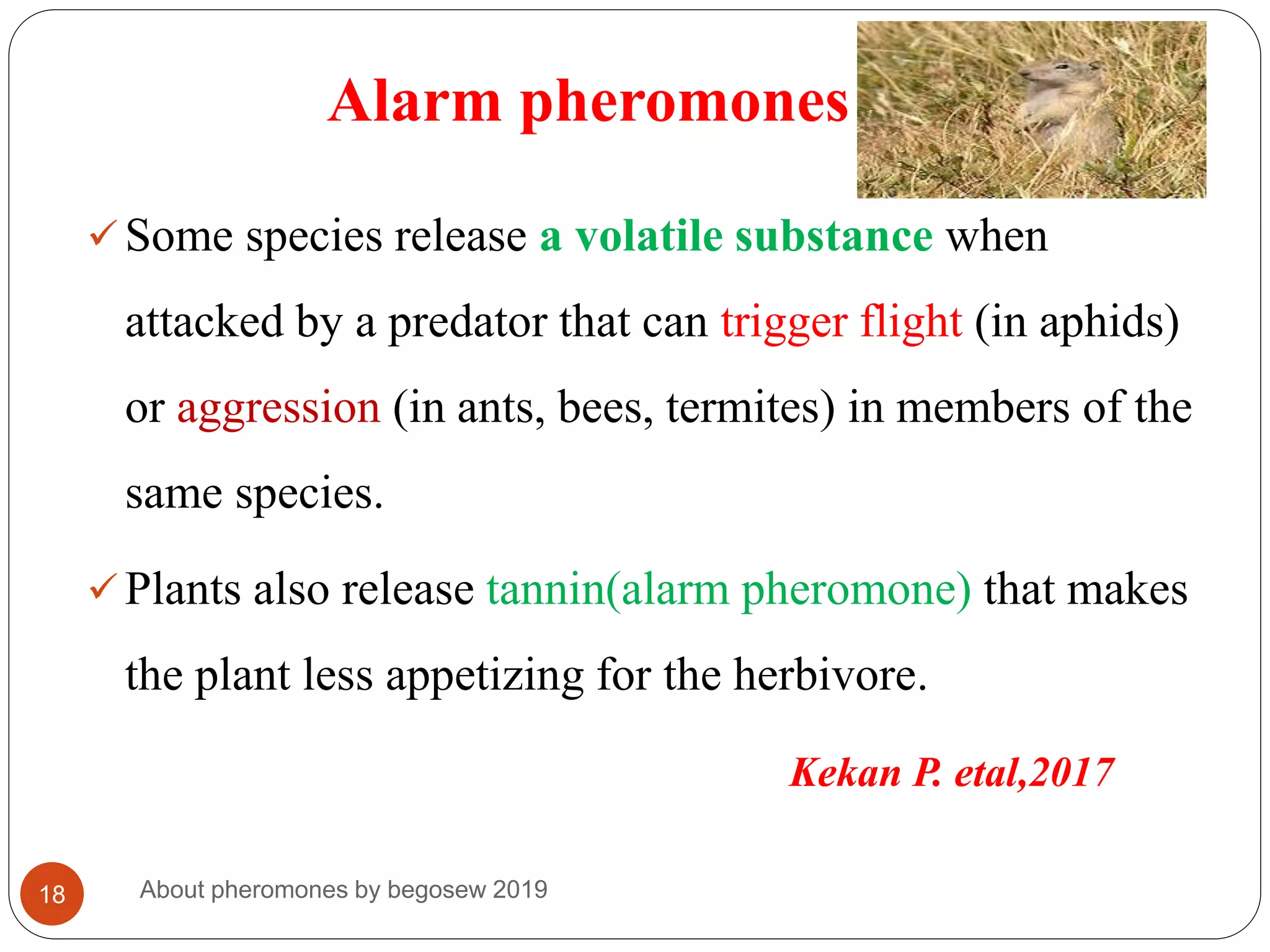 Pheromone | PPTX