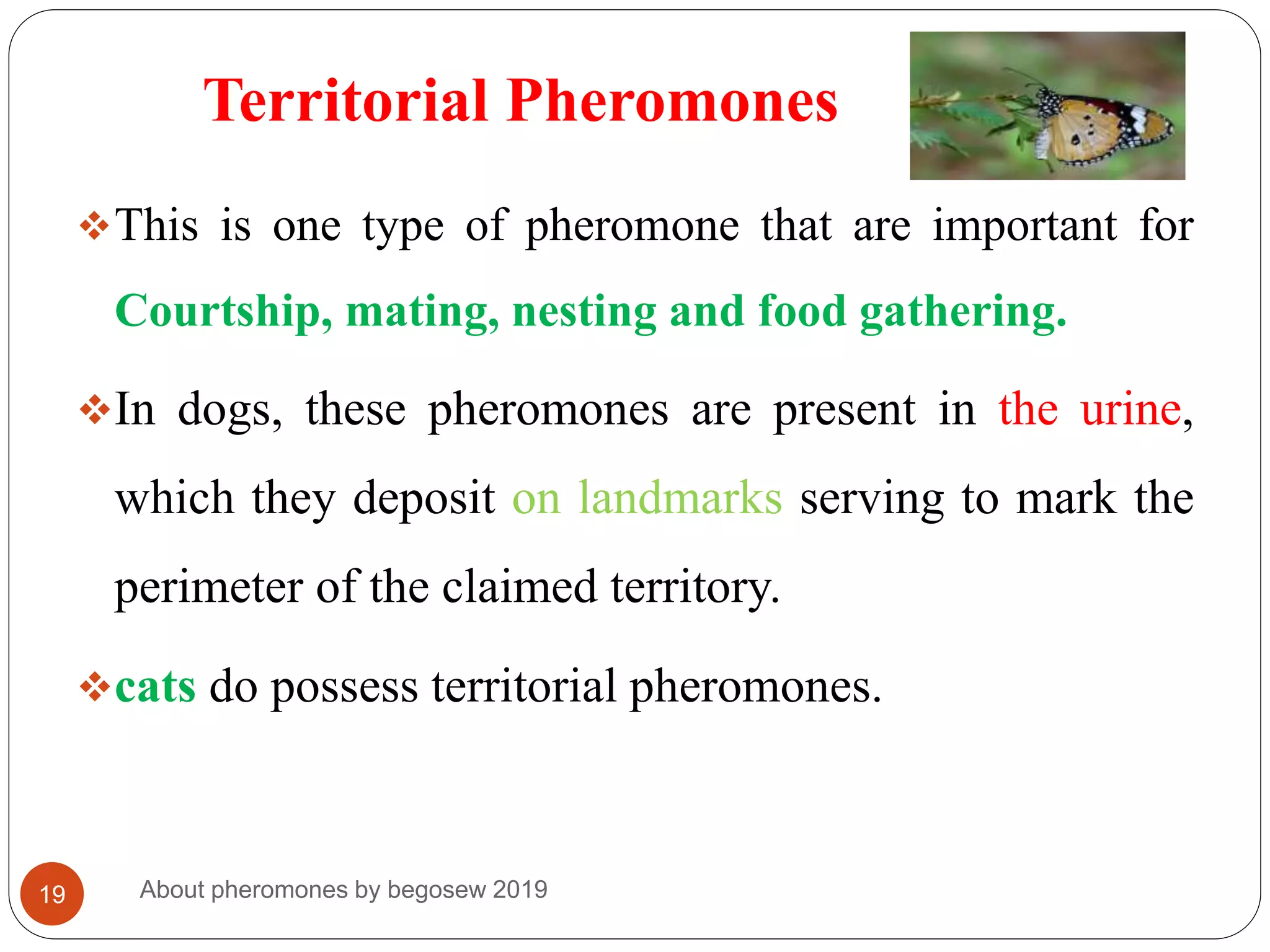 Pheromone | PPTX