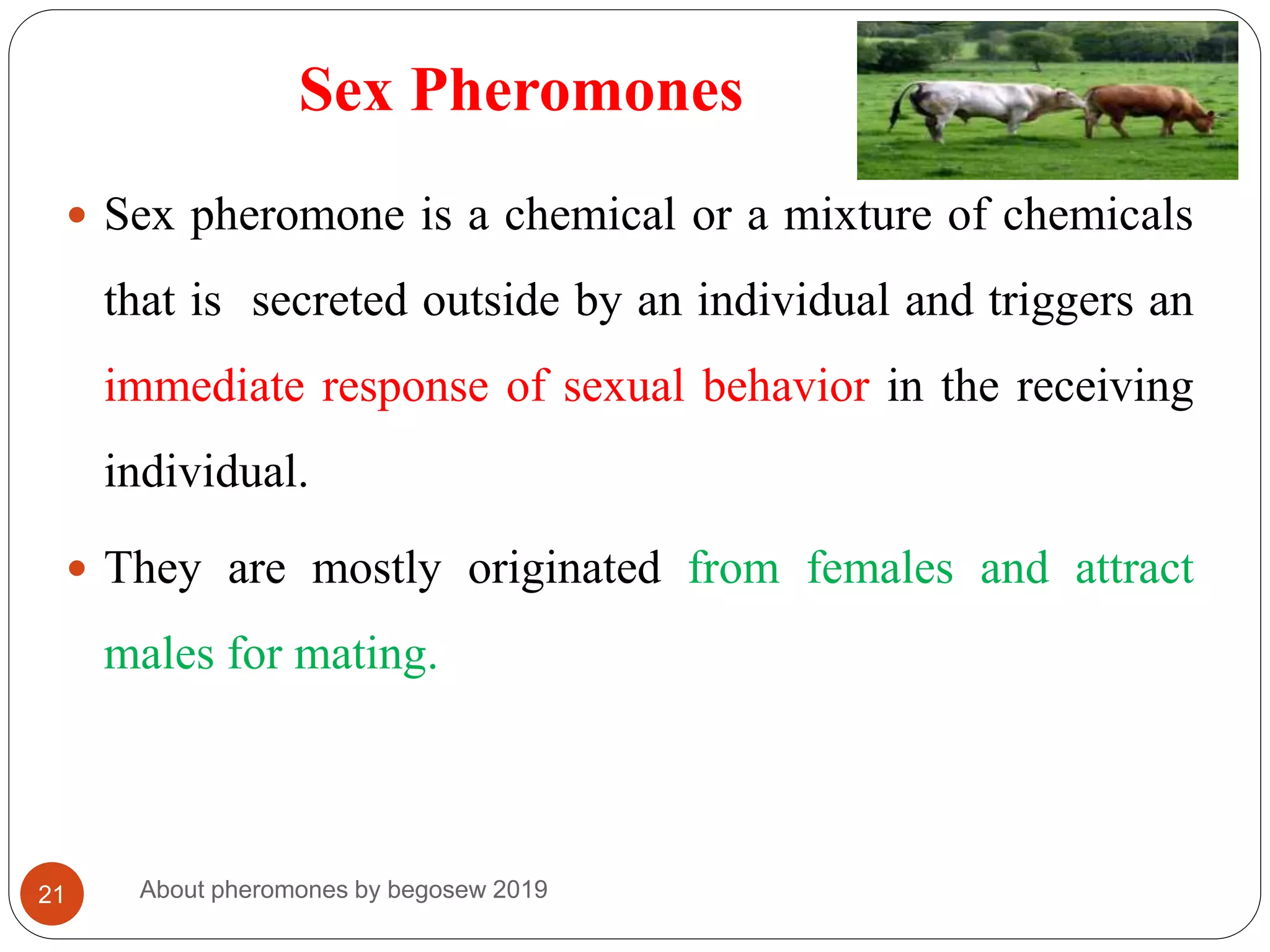 Pheromone | PPTX
