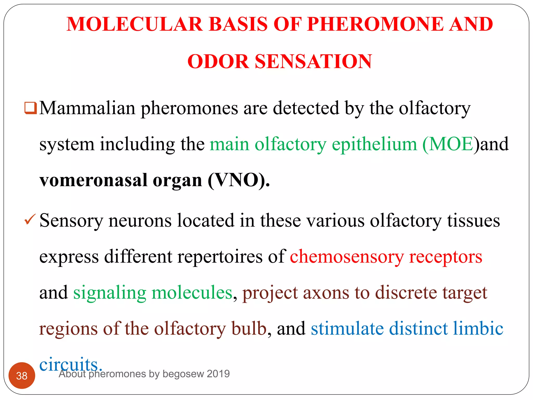 Pheromone | PPTX