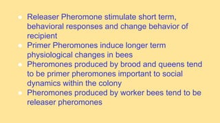 Pheromones! | PPTX