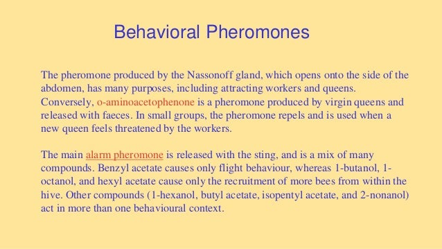 Pheromones!
