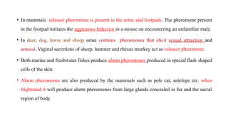 Ethology, ecology , biodiversity conservation - pheromones, types and ...