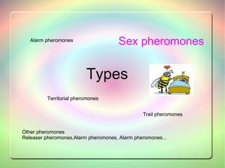 Pheromones | PPT