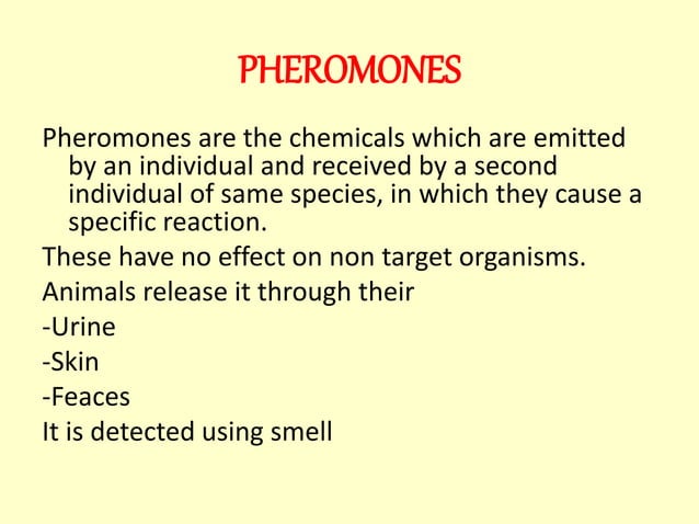Pheromones | PPTX | Chemistry | Science