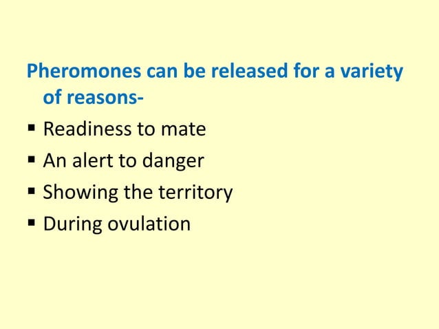 Pheromones | PPTX | Chemistry | Science