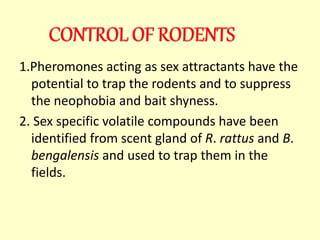 Pheromones | PPTX