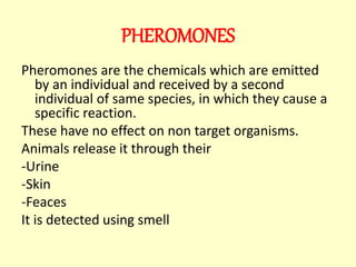 Pheromones | PPT