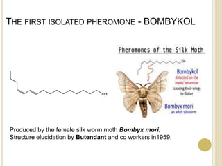 Pheromones.pptx