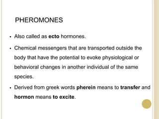 Pheromones.pptx