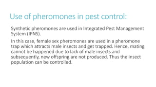 Pheromones.pptx