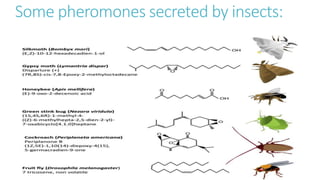 Pheromones.pptx | Chemistry | Science