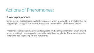 Pheromones.pptx | Chemistry | Science