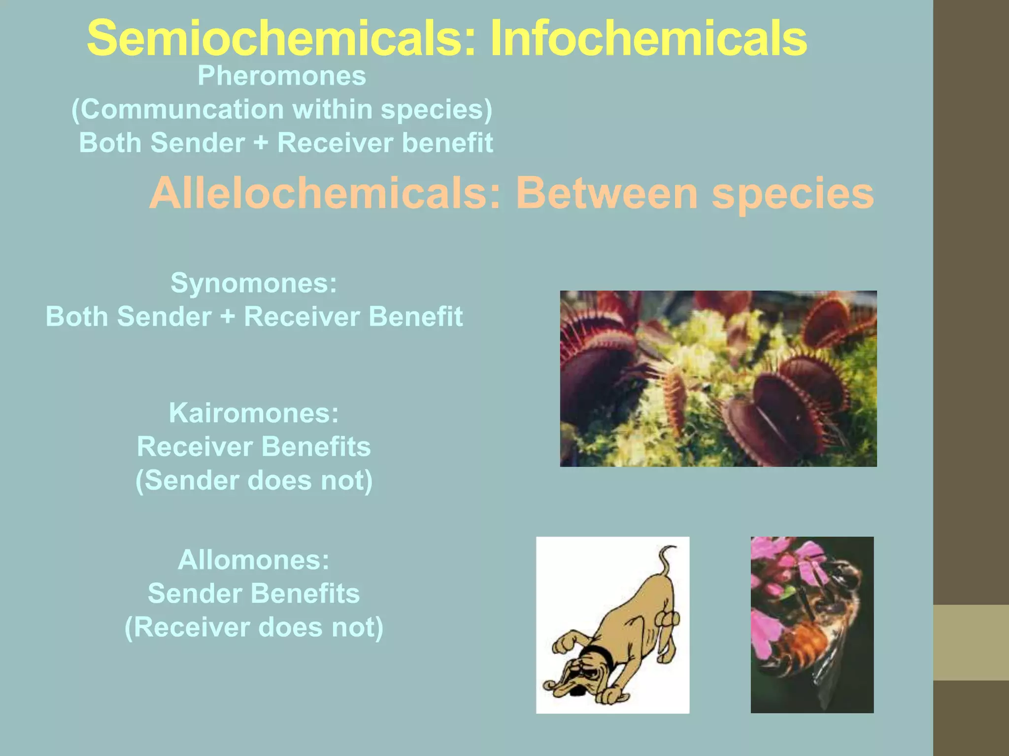 Pheromones and behaviour | PPT
