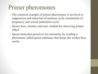 Pheromones and behaviour | PPT