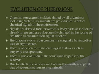 Pheromones bkk | PPTX